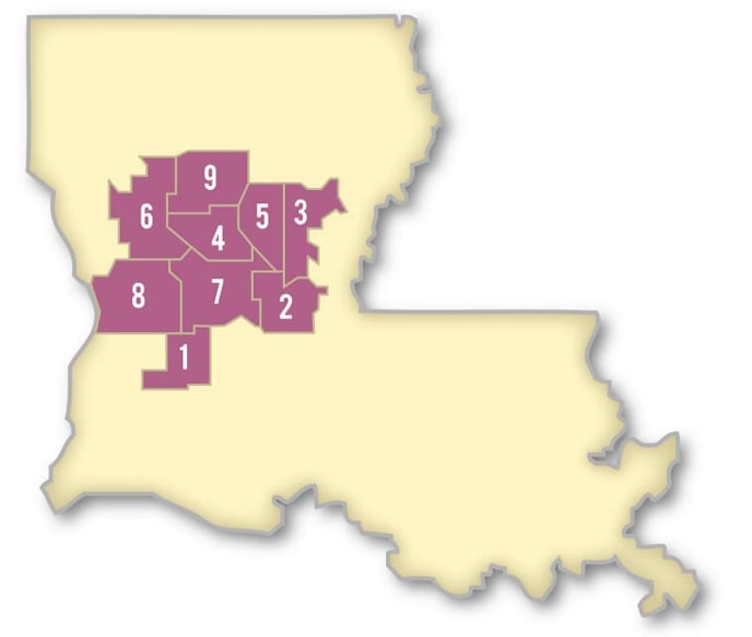 Rapides Foundation > About Us > Service Area